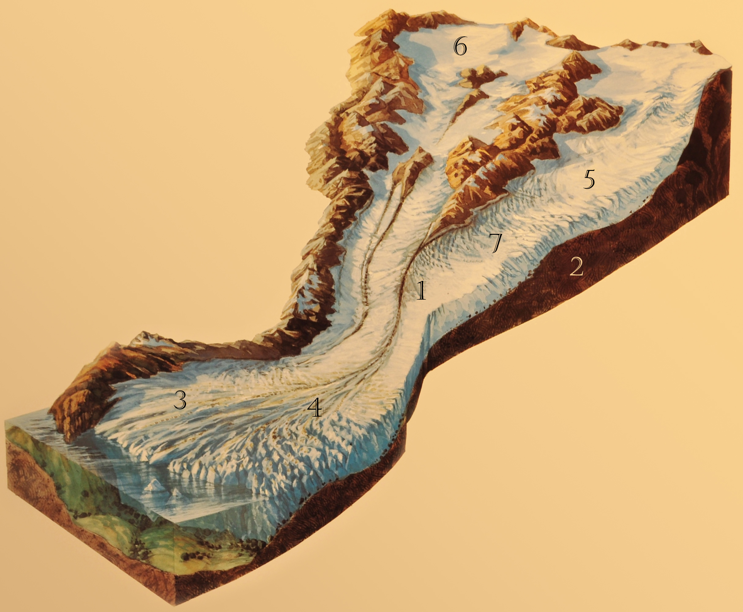 Formarea şi acțiunea gheții. Relieful glaciar - Zona rece